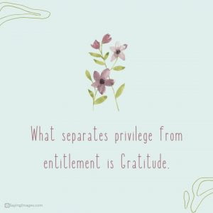 60 Thought-Provoking Quotes On Entitlement Mentality
