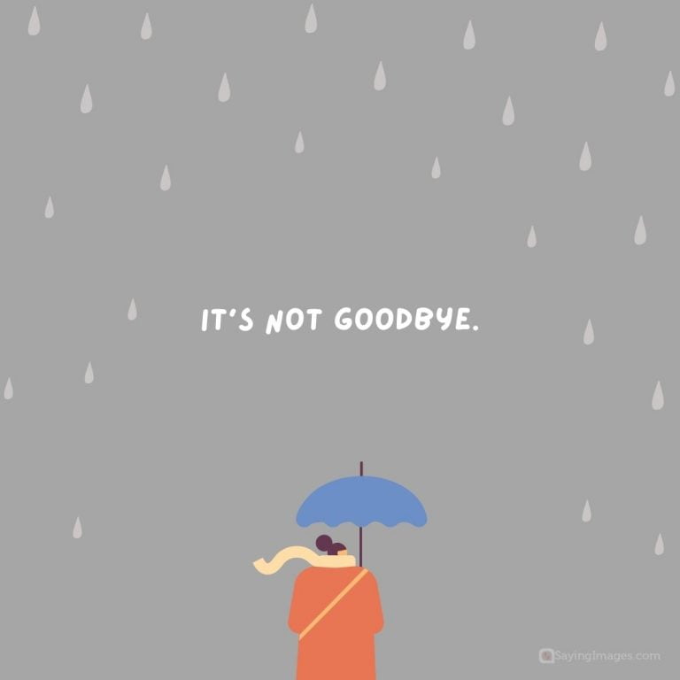 See You Someday - 65 Until We Meet Again Quotes - SayingImages.com See You Someday - 65 Until We Meet Again Quotes - SayingImages.com