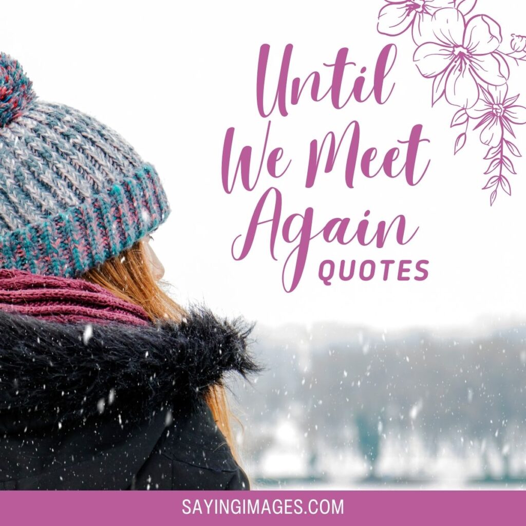 See You Someday - 65 Until We Meet Again Quotes - SayingImages.com