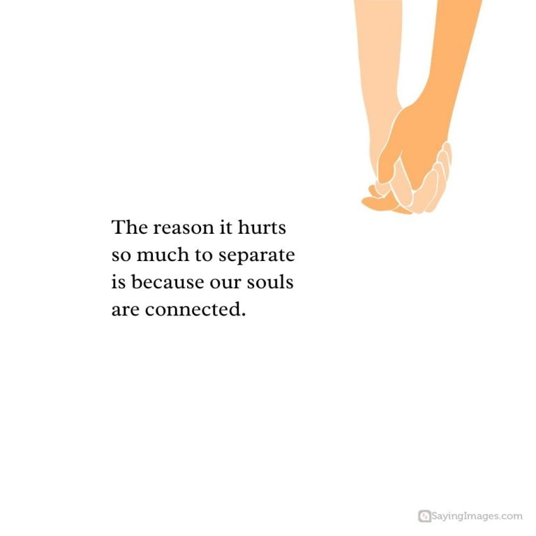 See You Someday - 65 Until We Meet Again Quotes - SayingImages.com