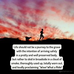 100 Inspiring You Only Live Once Quotes Because Life Is Too Short