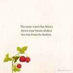 50 Silver Lining Quotes To Help You Through Dark Moments In Life