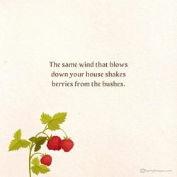 50 Silver Lining Quotes To Help You Through Dark Moments In Life