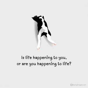 75 Cautionary Playing Victim Quotes - SayingImages.com