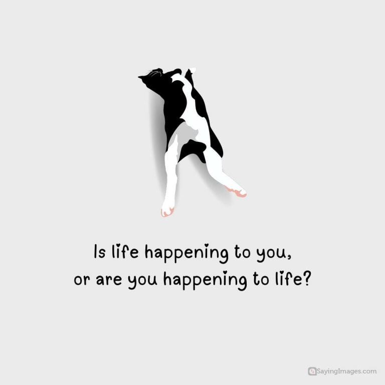 75 Cautionary Playing Victim Quotes - SayingImages.com