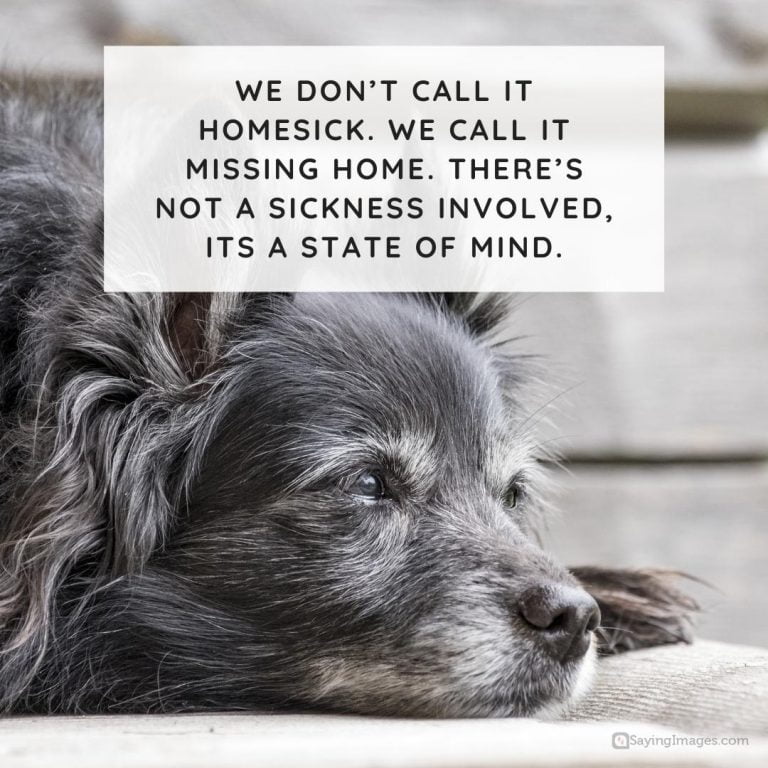 75 Wise And Nostalgic Quotes About Missing Home