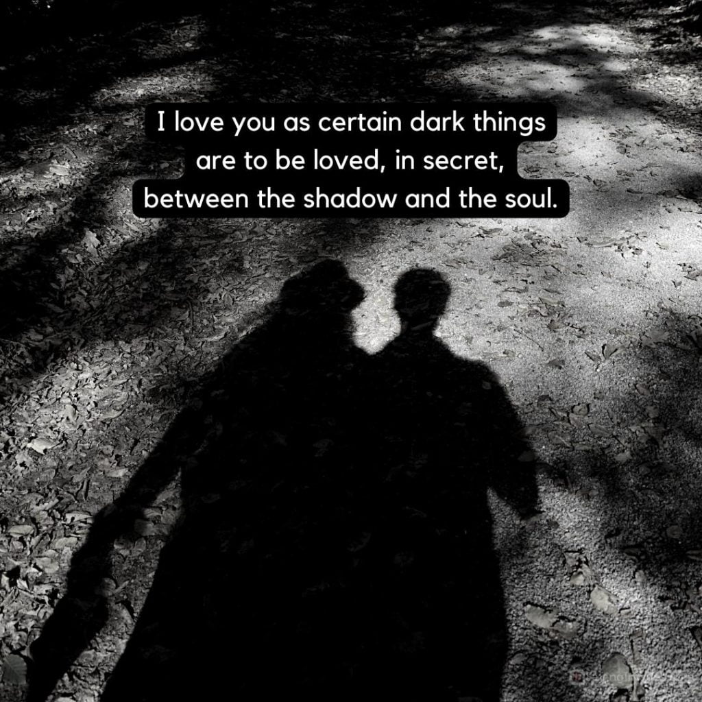65 Sad Quotes For Those With A Secret Love - SayingImages.com