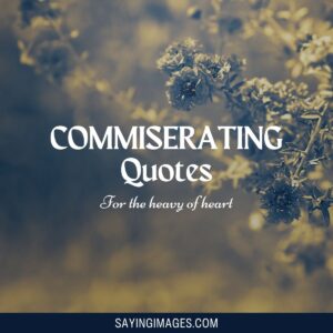 55 Commiserating Quotes For The Heavy Of Heart - SayingImages.com