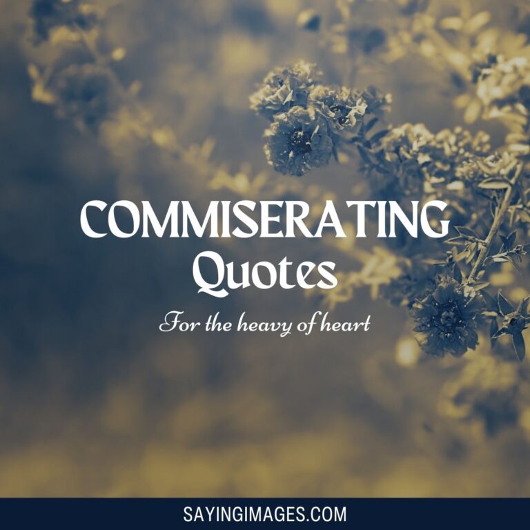 55 Commiserating Quotes For The Heavy Of Heart - SayingImages.com