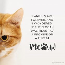 65 Comforting Quotes for People With Unsupportive Families