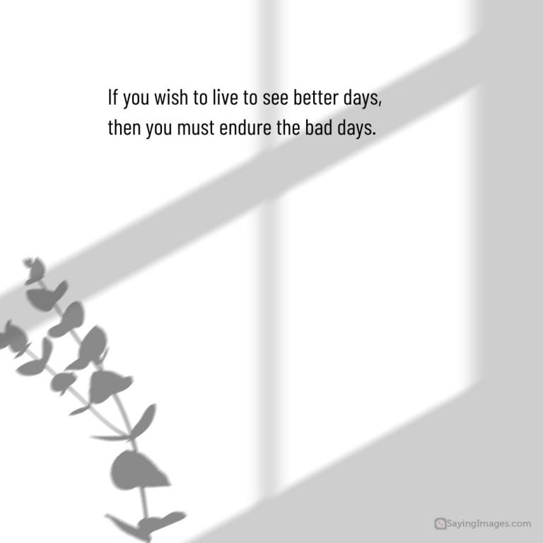 70 Quotes To Remind You That Better Days Are Coming