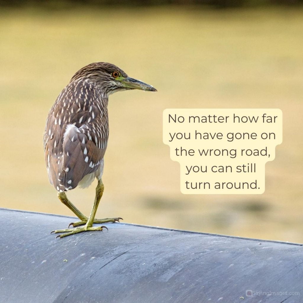 70 It’s Never Too Late Quotes to Help You Go For It