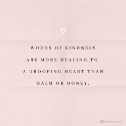 70 Spread Love Quotes to Help Make the World a Kinder Place