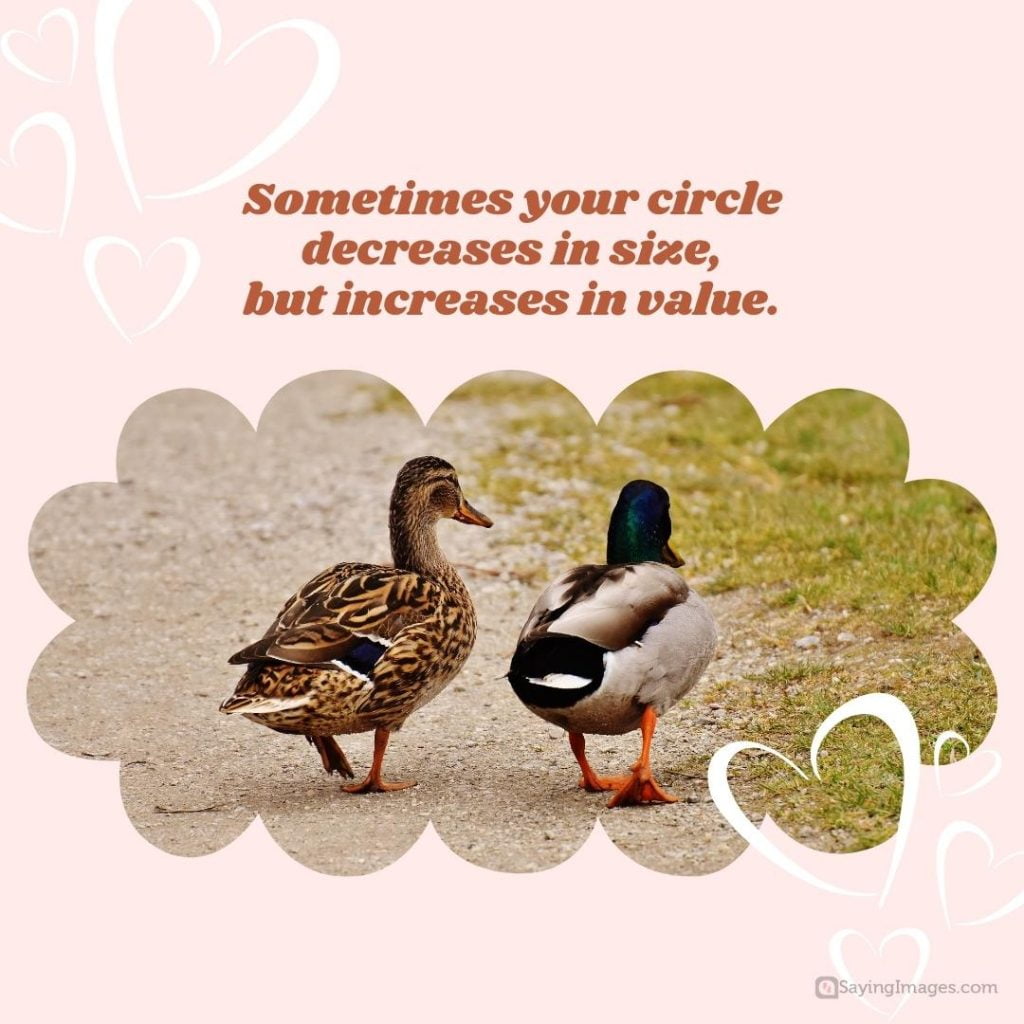 50 Quotes About The Beauty Of Keeping Your Circle Small