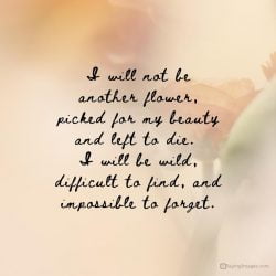 50 Don't Underestimate Quotes to Make You Feel Braver