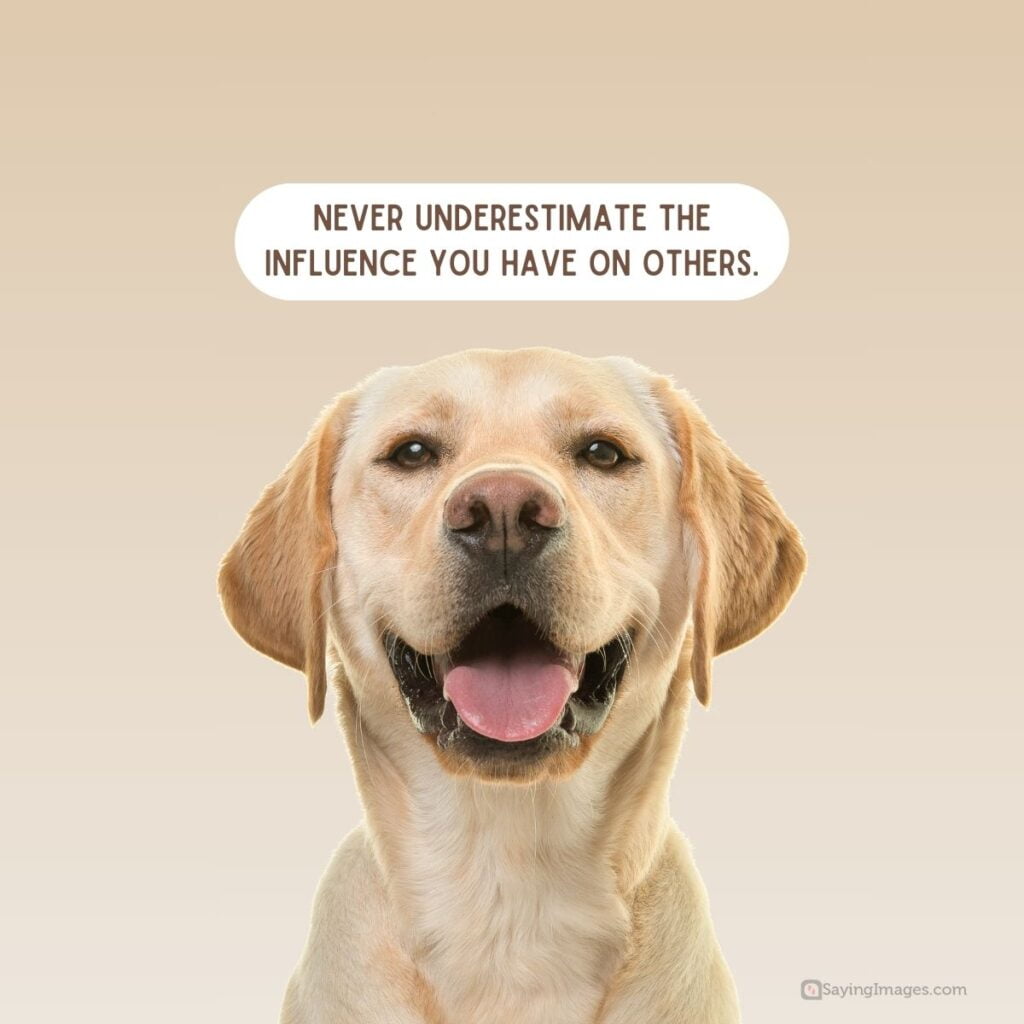 20 Powerful Influence Quotes to Motivate You - SayingImages.com