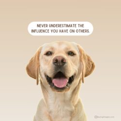 20 Powerful Influence Quotes to Motivate You - SayingImages.com