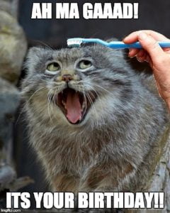 120 Outrageously Hilarious Birthday Memes - SayingImages.com