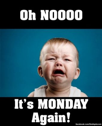 100 Funny Monday Memes To Start Your Week Right - SayingImages.com