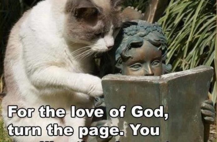 20 Angel Memes That Will Make Your Laugh Hysterically - SayingImages.com