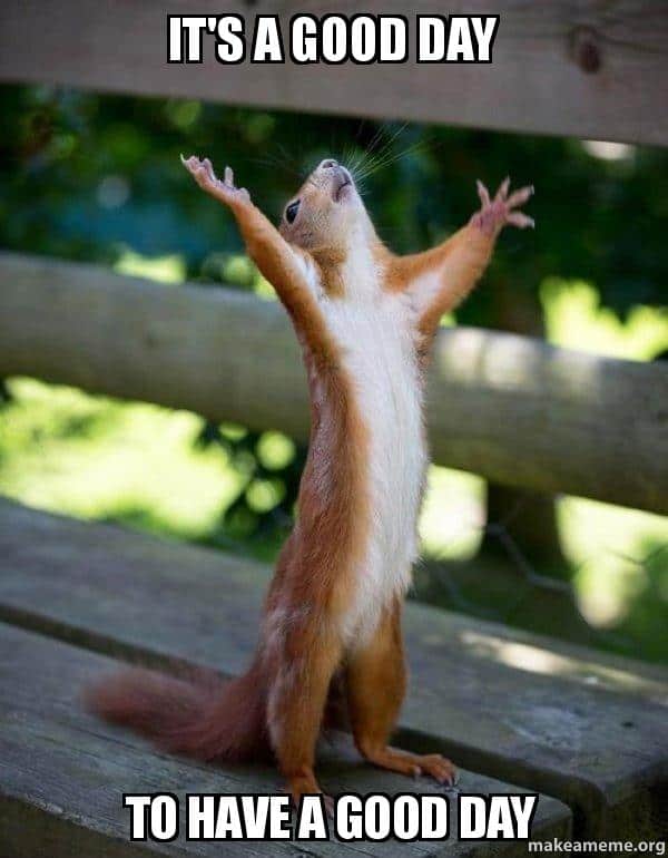 30 Have A Good Day Memes To Cheer You Up SayingImages 30 Have A Good Day Memes To Cheer You Up SayingImages