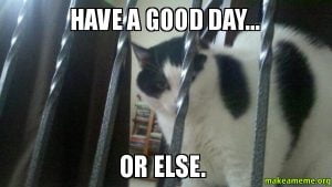 30 Have A Good Day Memes to Cheer You Up - SayingImages.com