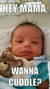 25 Cutest Cuddle Memes - SayingImages.com