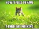 20 Best 3-Day Weekend Memes - SayingImages.com