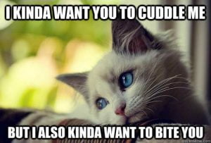 25 Cutest Cuddle Memes - SayingImages.com