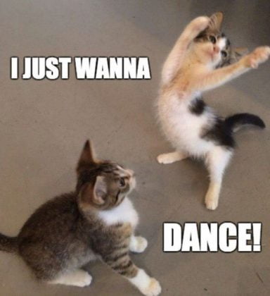 40 Happy Dance Memes to Put a Smile on Your Face - SayingImages.com