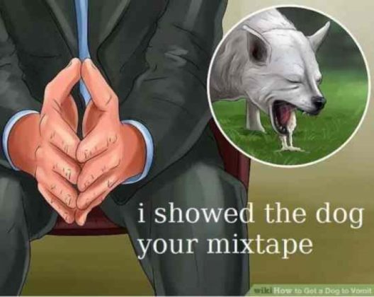 19 Vomit Memes That Will Make You Laugh So Hard - SayingImages.com