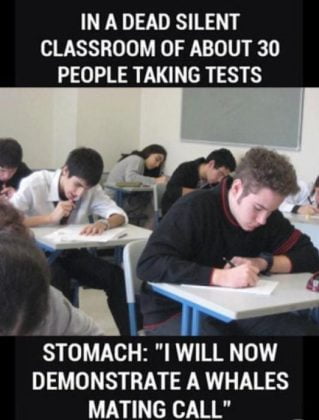 40 Funny School Memes For Students - SayingImages.com