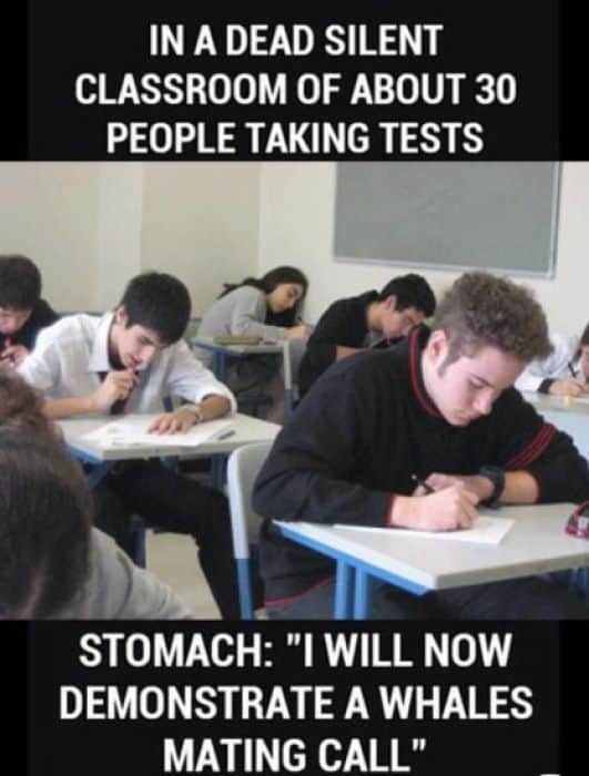 40 Funny School Memes For Students SayingImages