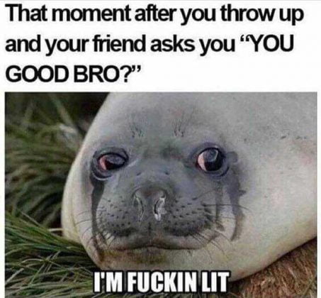 19 Vomit Memes That Will Make You Laugh So Hard - SayingImages.com