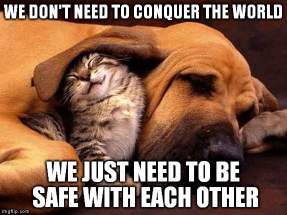 25 Cutest Cuddle Memes - SayingImages.com