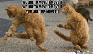 40 Happy Dance Memes to Put a Smile on Your Face - SayingImages.com