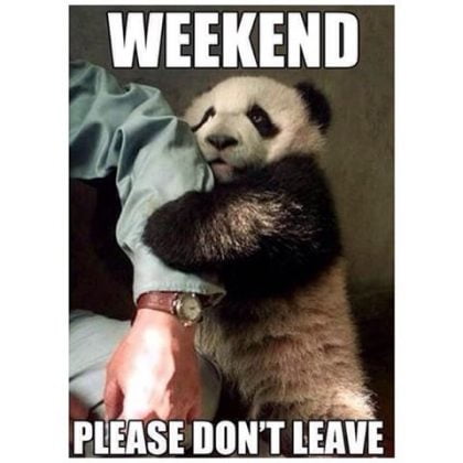 20 Best 3-Day Weekend Memes - SayingImages.com