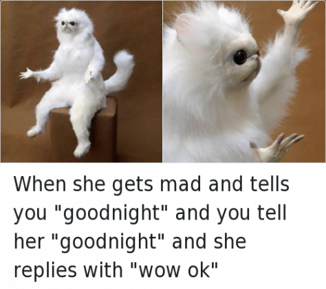 50 Cutest Goodnight Memes - SayingImages.com