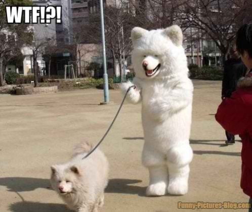 25 Incredibly Funny WTF Memes - SayingImages.com