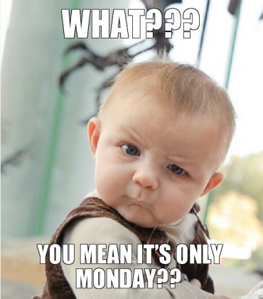 100 Funny Monday Memes To Start Your Week Right - SayingImages.com