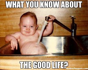 30 Hilarious Life Memes to Complete Your Day - SayingImages.com