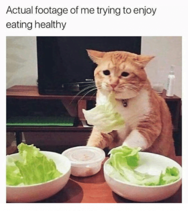 20 Funny Life Changing Eating Healthy Memes - SayingImages.com