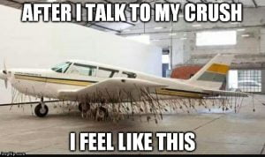 20 Airplane Memes That Will Leave You Laughing for Days - SayingImages.com