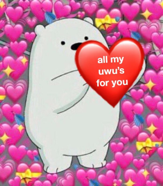 20 Cute And Adorable Uwu Memes SayingImages