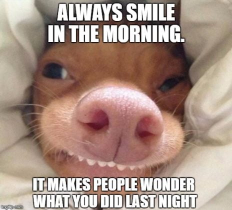 25 Funny Morning Memes That Are A Little Too Accurate - SayingImages.com