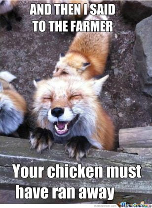 40 Happy Memes To Make You Feel A Whole Lot Better - SayingImages.com