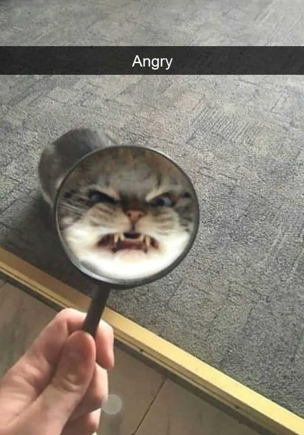 25 Angry Memes That Can Help You Laugh Away Your Anger SayingImages 25 Angry Memes That Can Help You Laugh Away Your Anger SayingImages