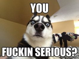 25 Angry Memes That Can Help You Laugh Away Your Anger - SayingImages.com