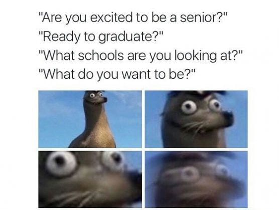 40 Funny School Memes For Students - SayingImages.com