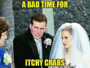 25 Wedding Memes You'll Find Funny - SayingImages.com